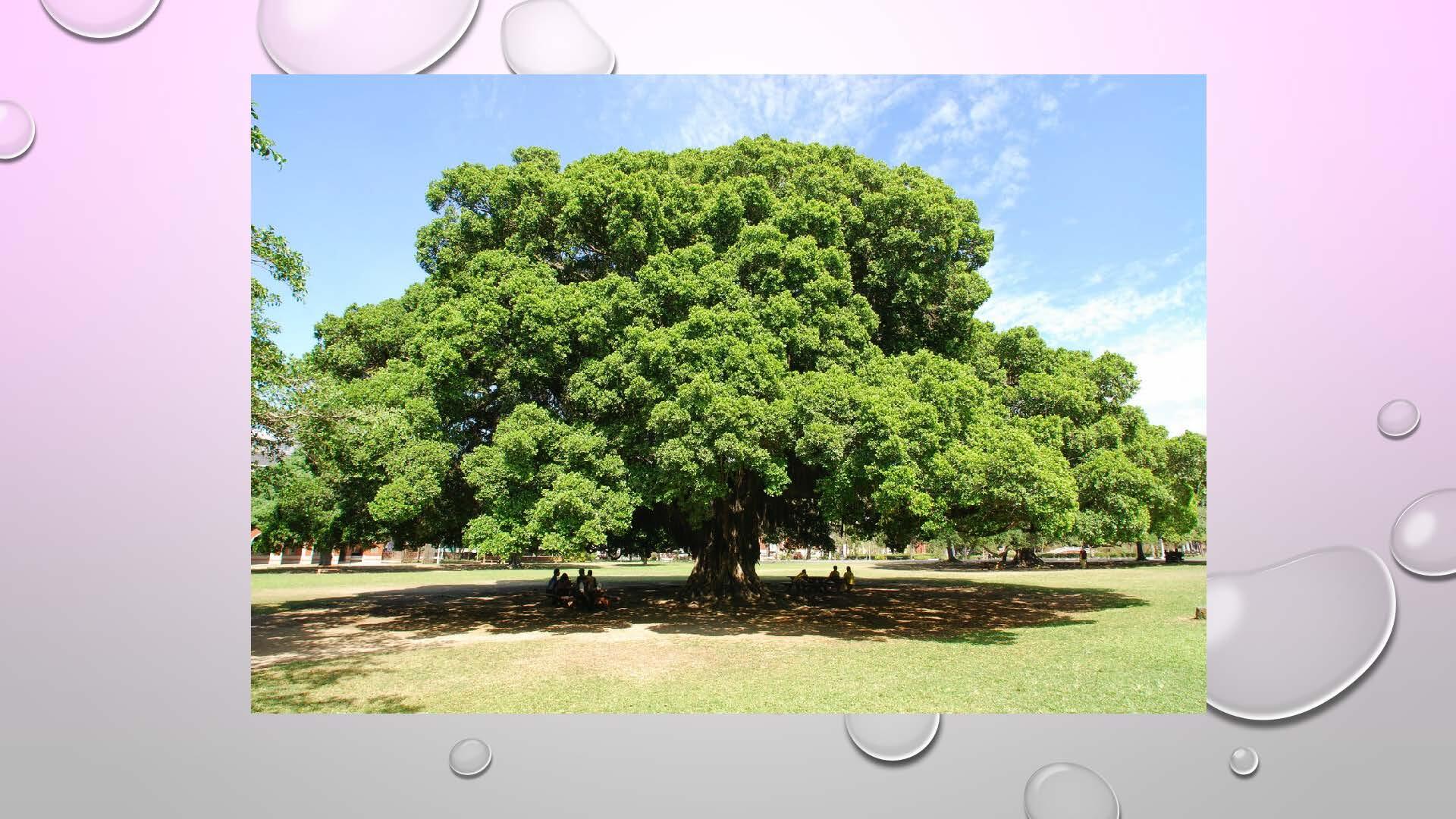 永續發展 - JOHNSON FINE CHEMICAL CO., LTD.